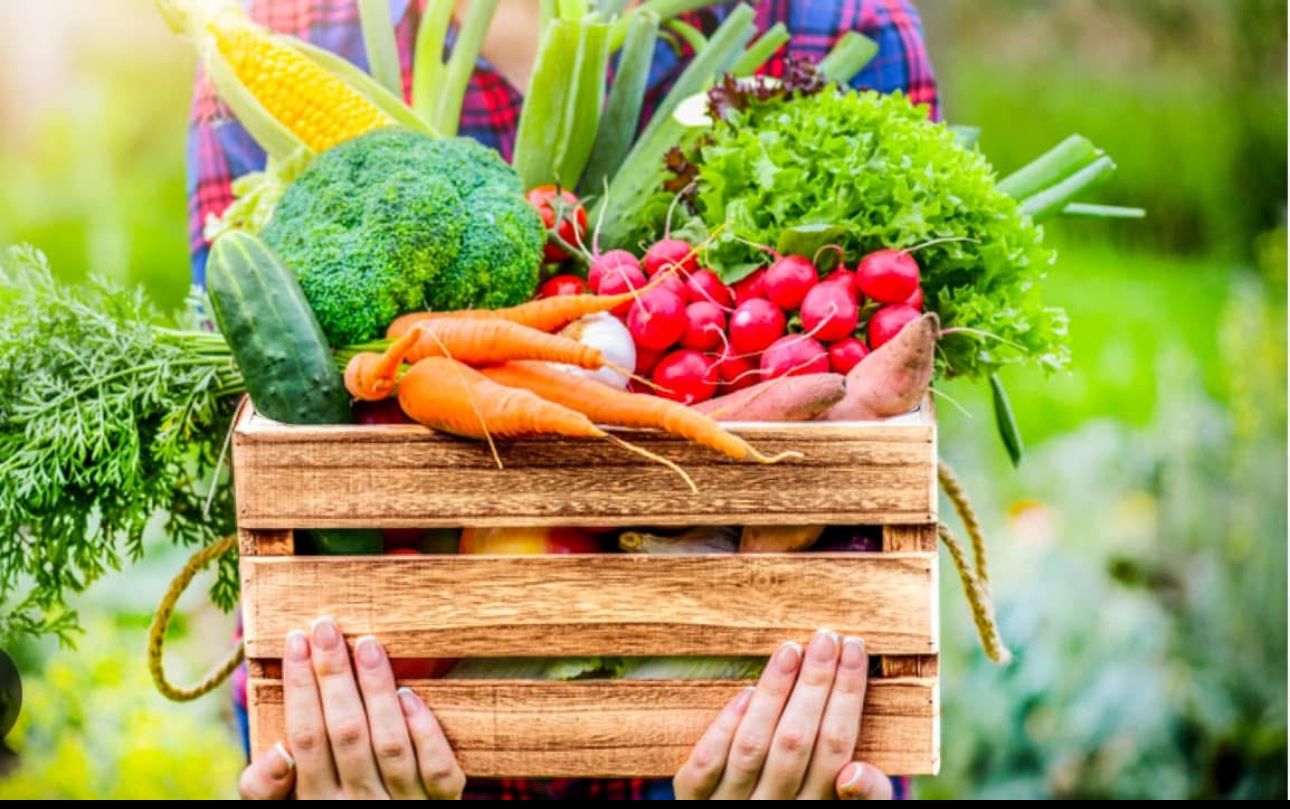 Home - IR FARME´S FRESH PRODUCT